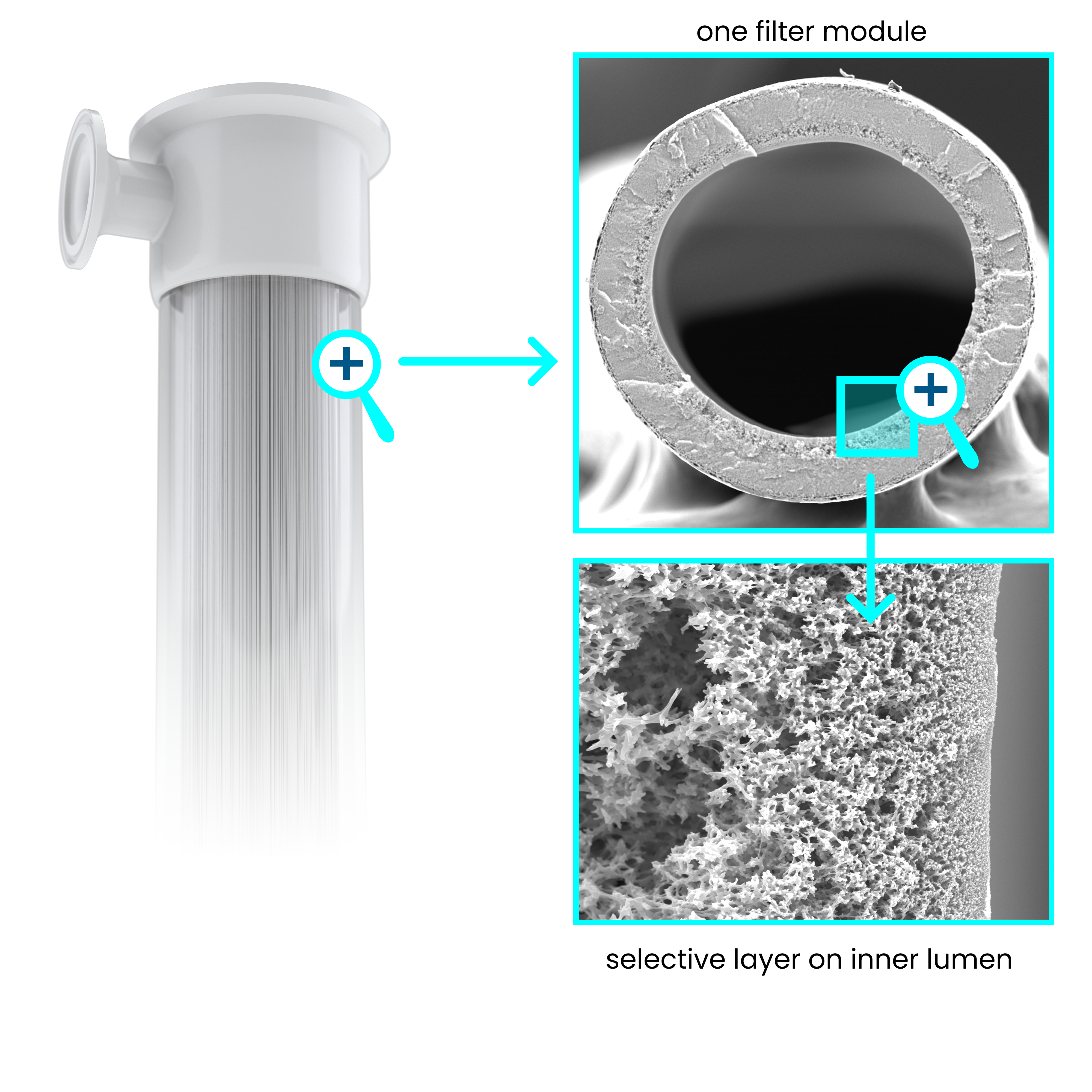 Spectrum® Hollow Fiber Filters