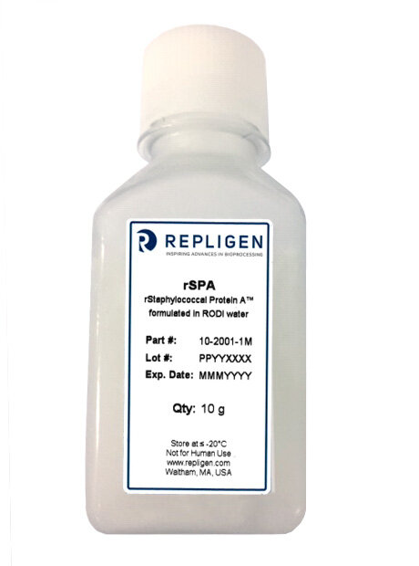 Protein Affinity Ligands