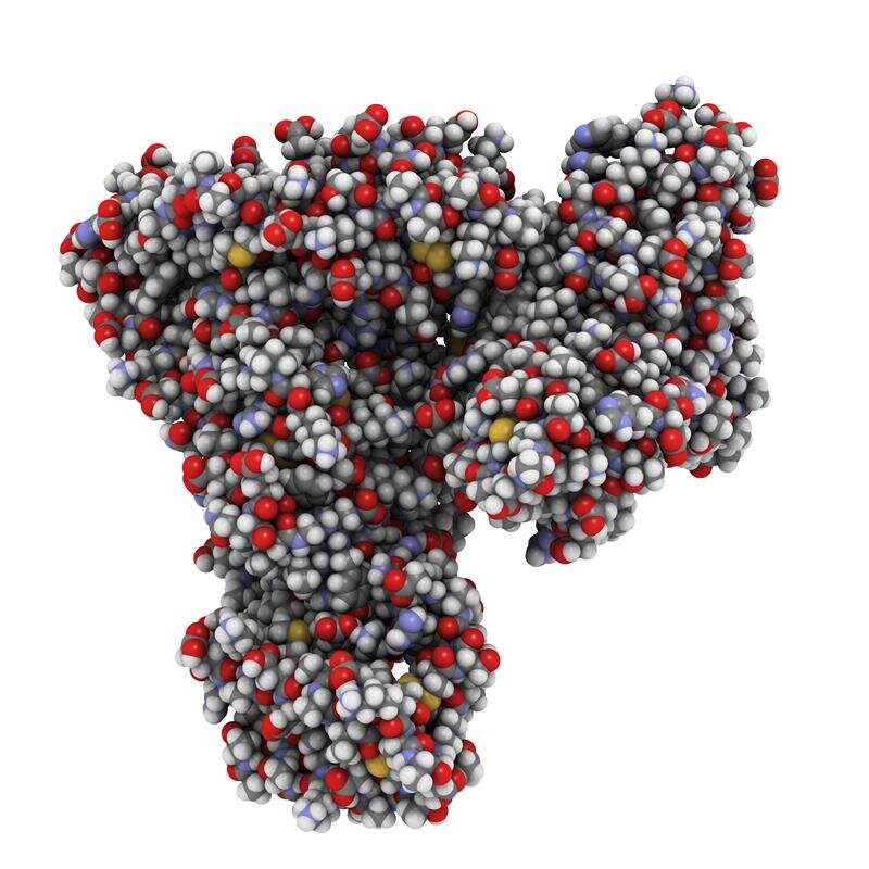 AVIPure® Albumin Affinity Resin