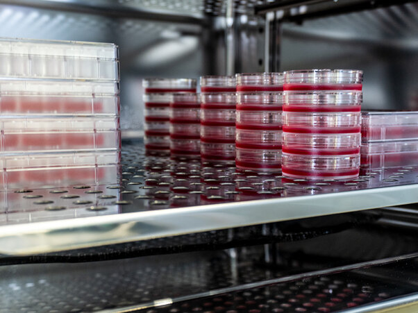 REBEL XT At-line Media Analyzer