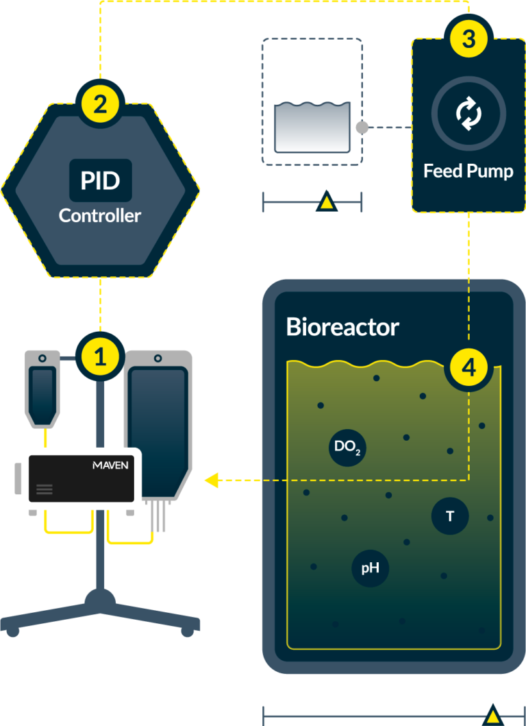 MAVEN Online Glucose and Lactate Monitoring