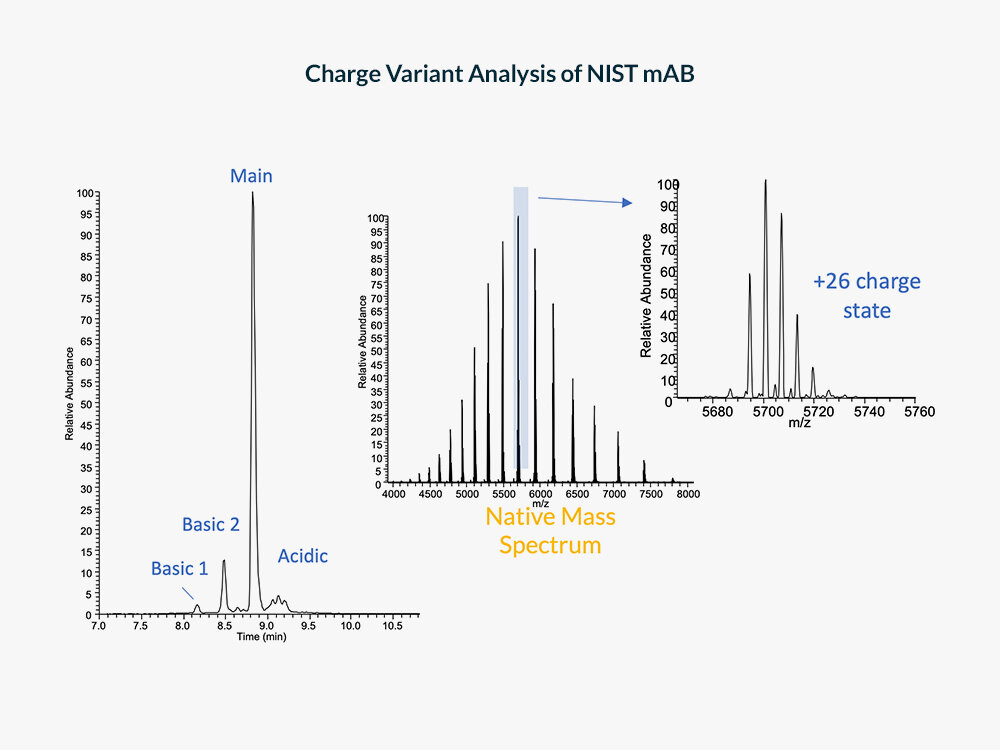 Charge Variant Analysis